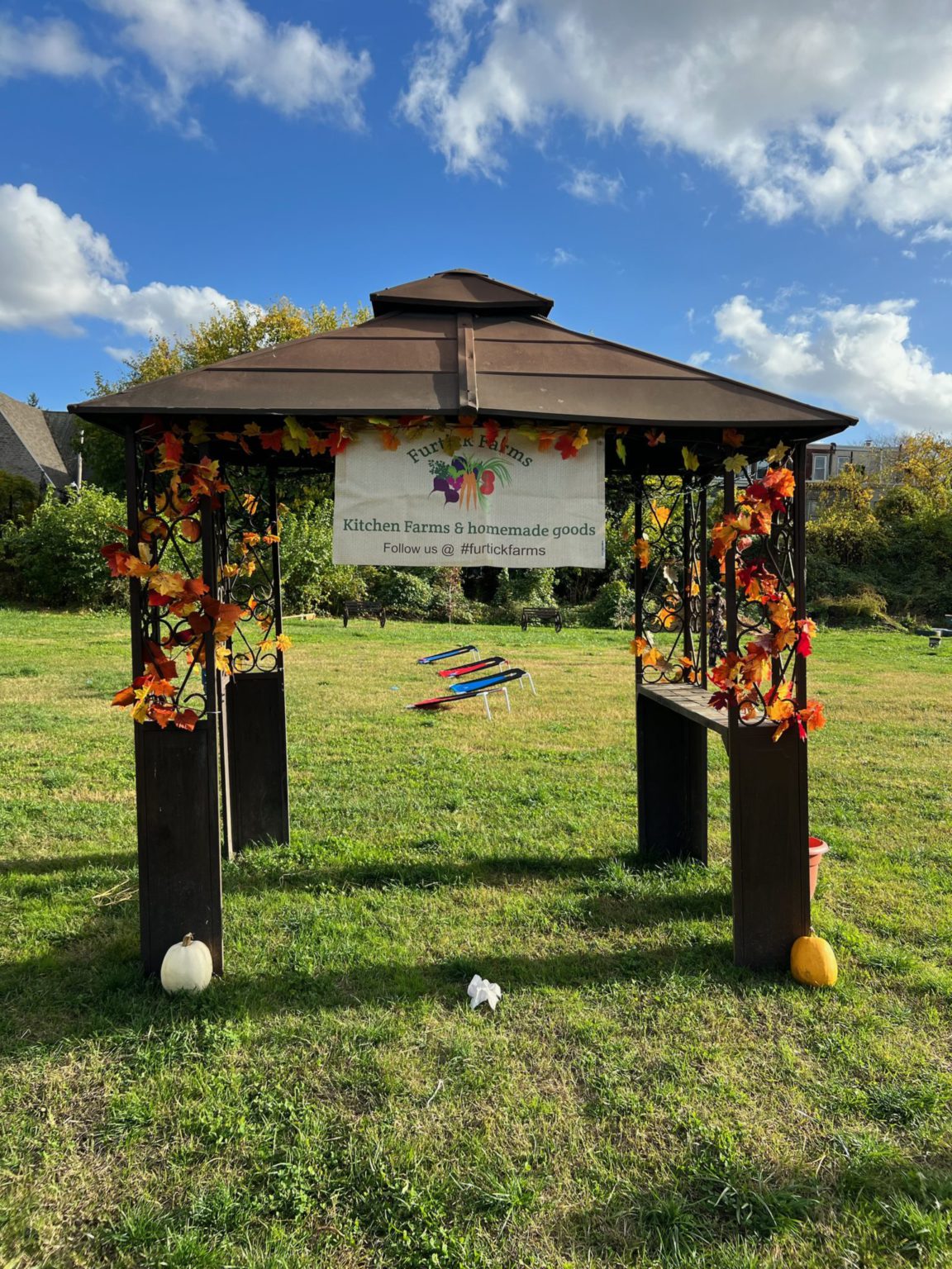 Land Care – Nicetown CDC